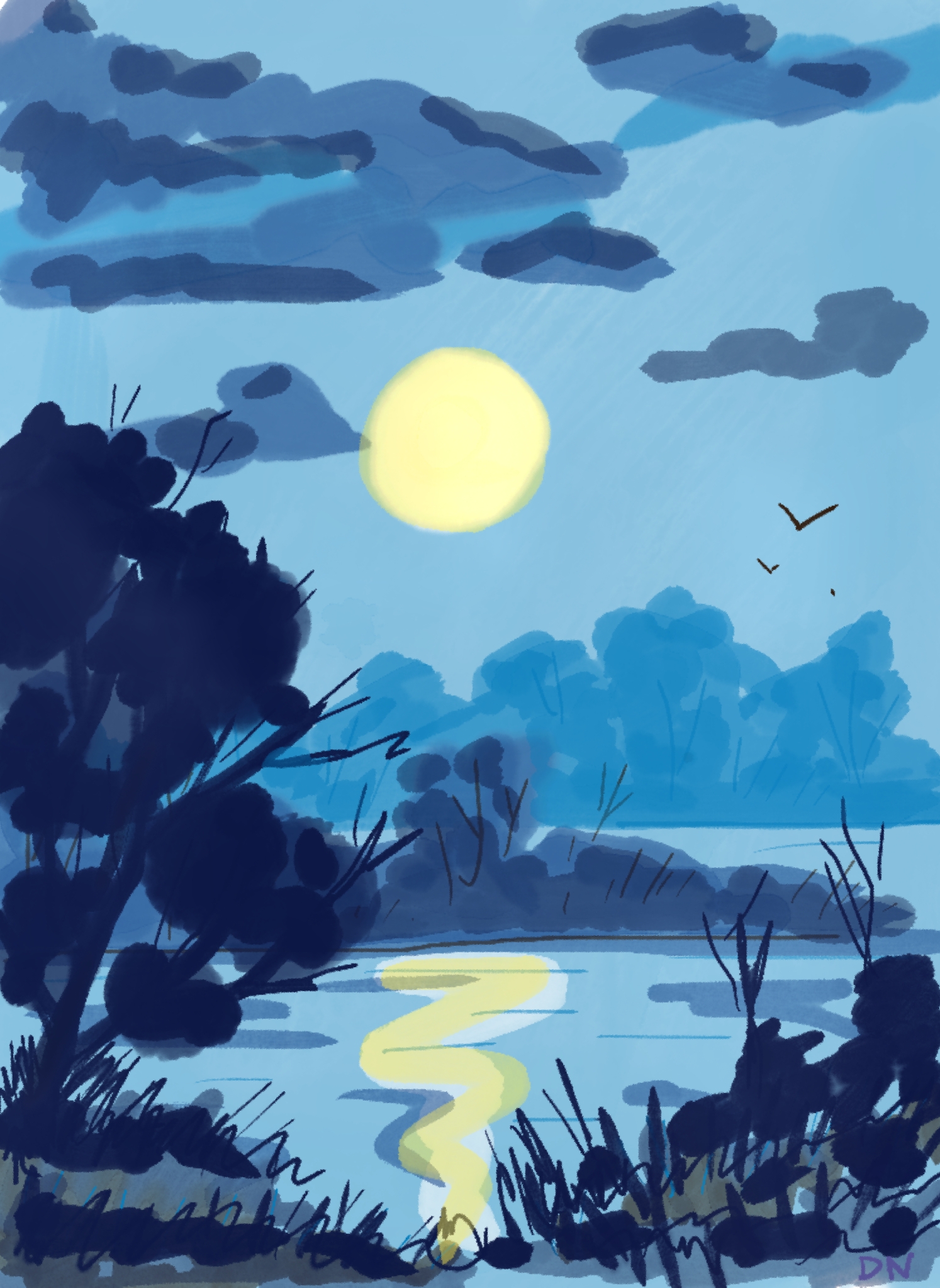 Moonlight II | David Noone