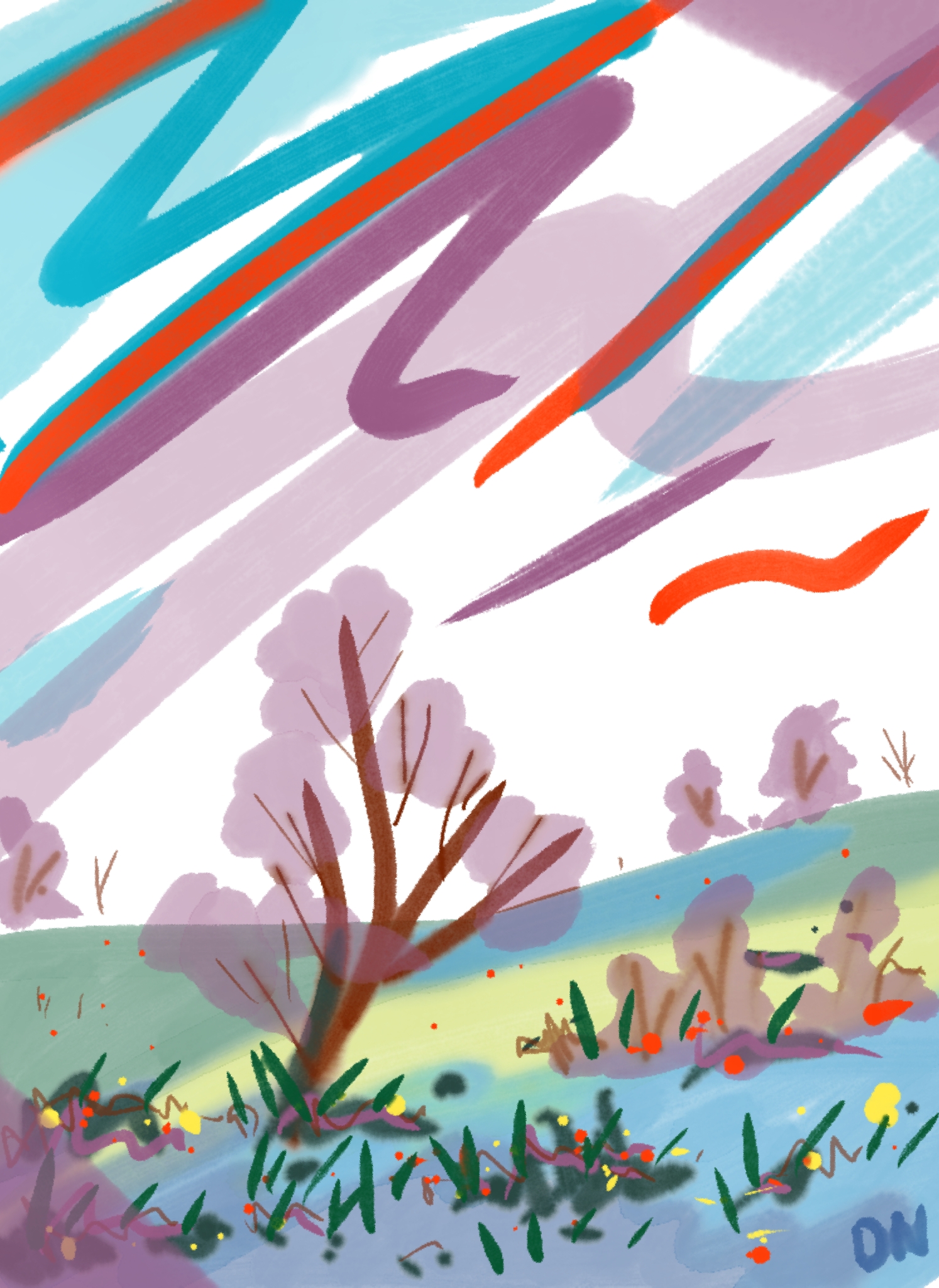 SpringII | David Noone